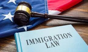 Immigration Appeals Attorney | Strong Legal Representation for Your Case
